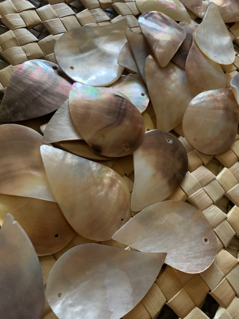 CLEARANCE Mother of Pearl Blacklip Teardrop Shells (5 PACK ...