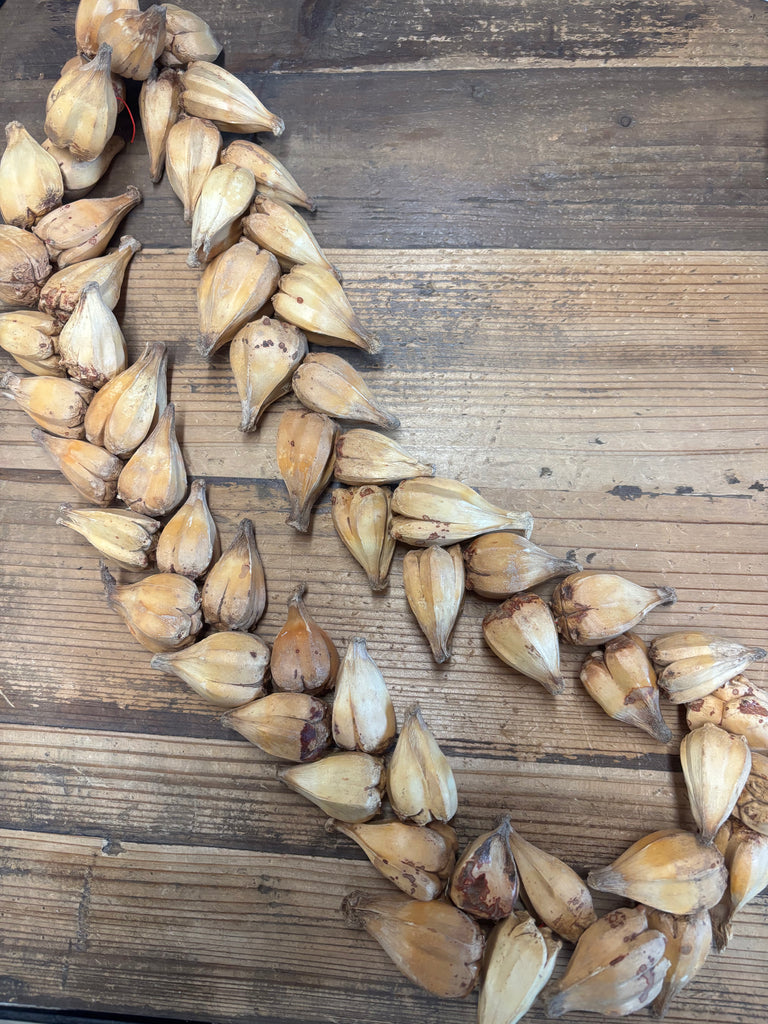 Samoan Ula Fala Natural Tan Lei – California Hula Center