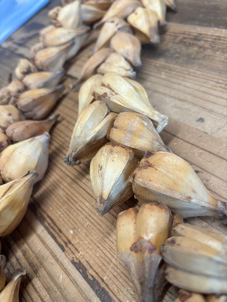 Samoan Ula Fala Natural Tan Lei – California Hula Center