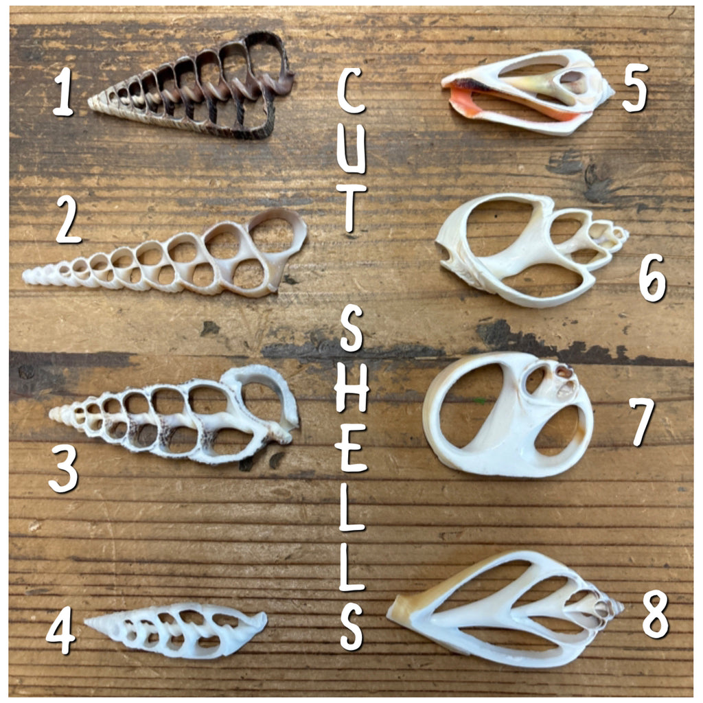 Cut Shells – California Hula Center