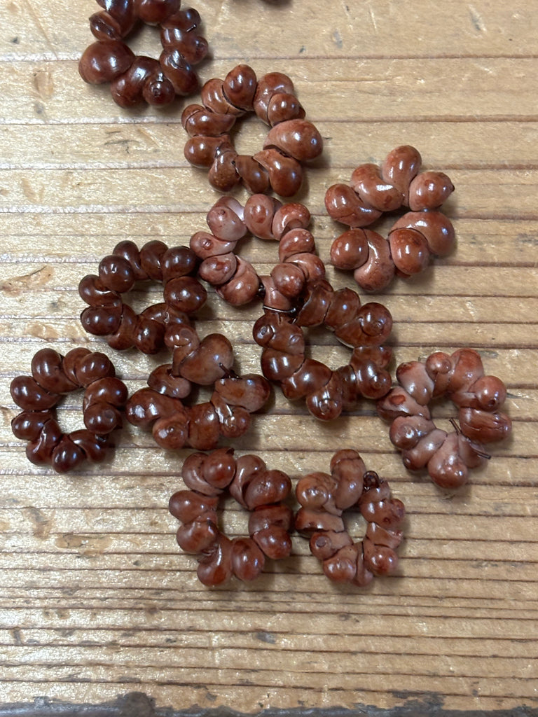 Mongo Shell Rings (50)- Brown – California Hula Center