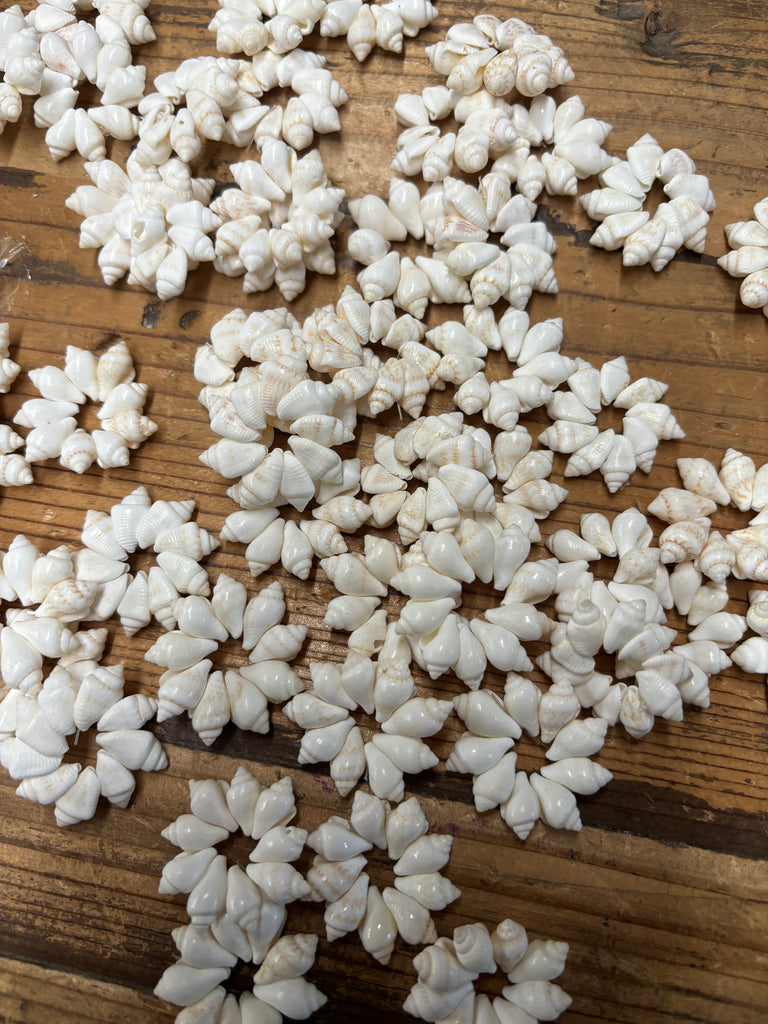 Dovetail Shell Rings – California Hula Center