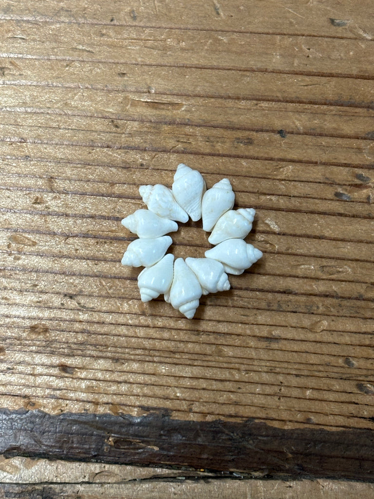 Dovetail Shell Rings – California Hula Center