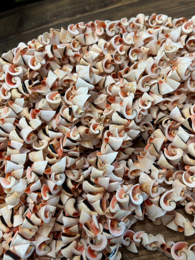 Red Everlasting Cut Shell Strand – California Hula Center