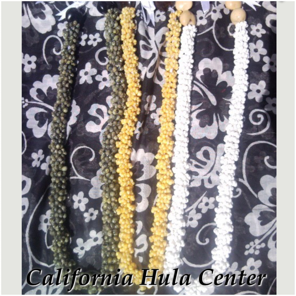 Lei- Mongo Shells with ribbon closure – California Hula Center