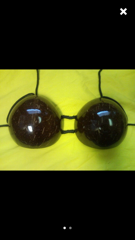 Coconut Bra - Regular Cut – California Hula Center