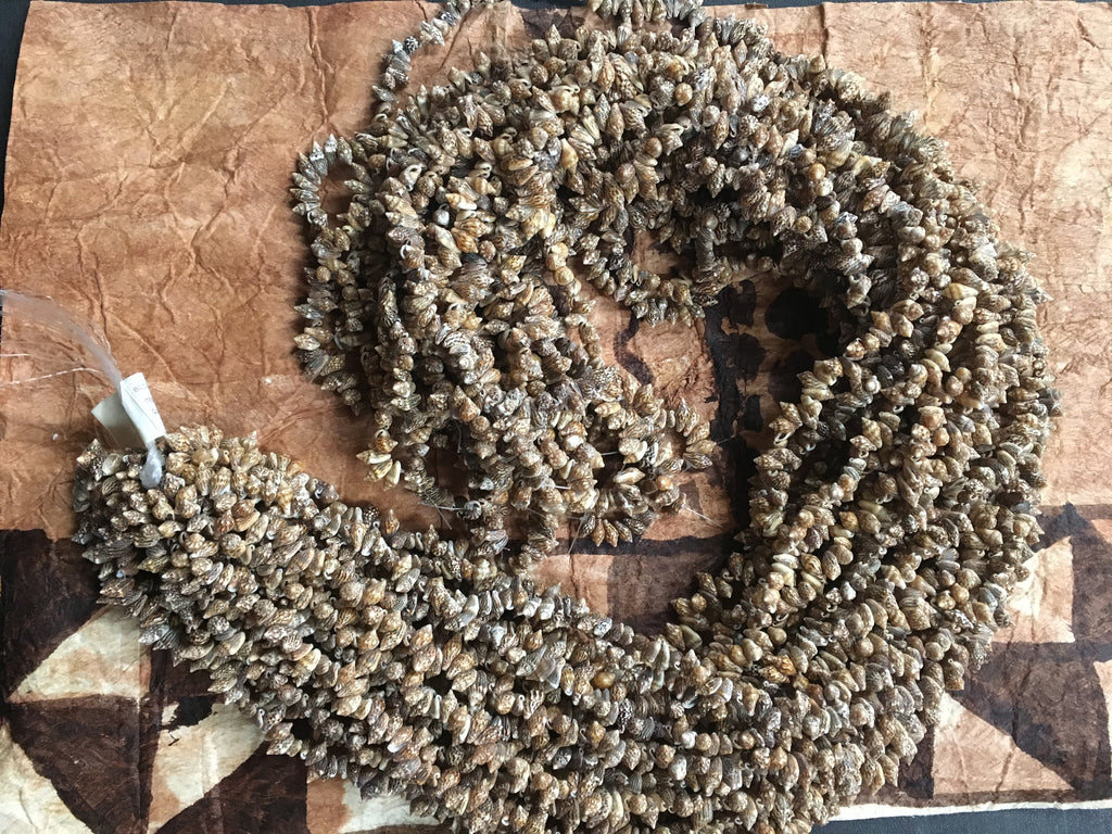 Shell Strand- Brown/White Dovetail Shells – California Hula Center