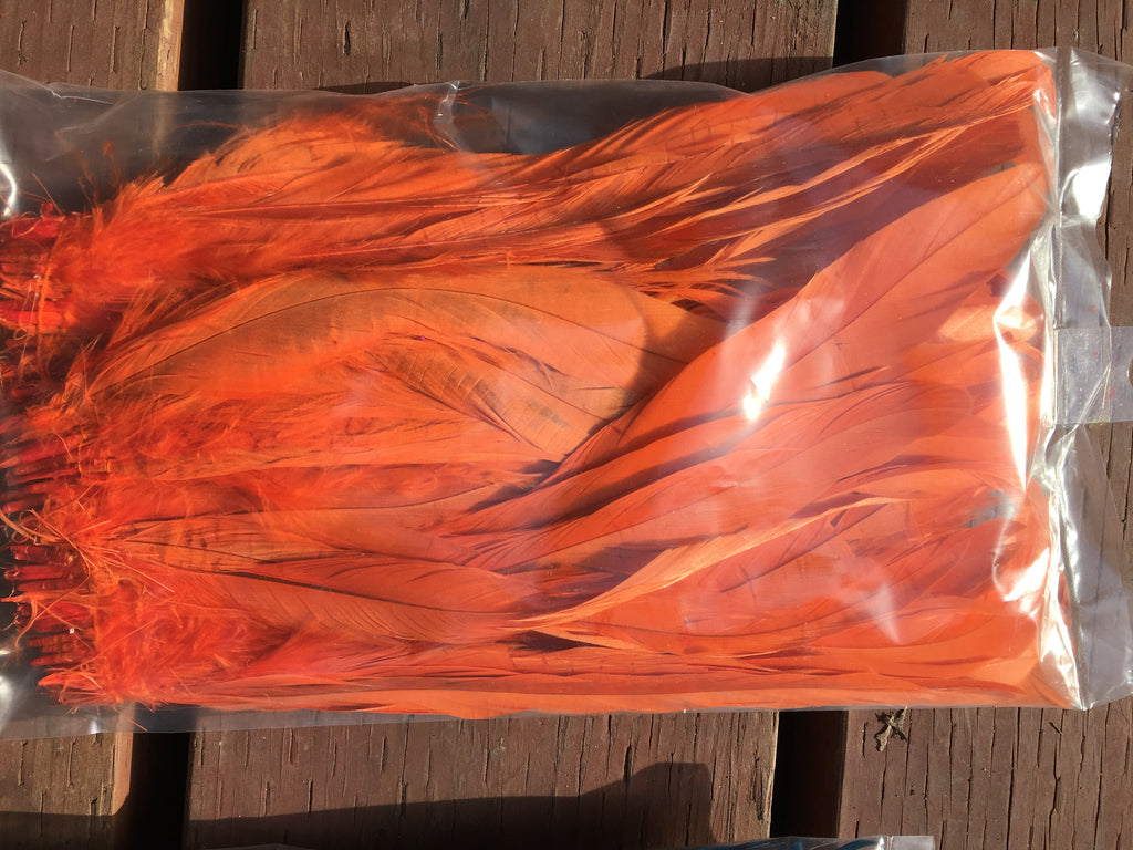 Rooster Tail Feathers 7-10" long – California Hula Center