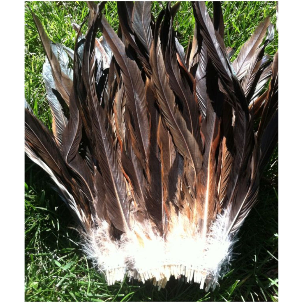 Rooster Tail Feathers 11-14" long Natural Brown – California Hula Center