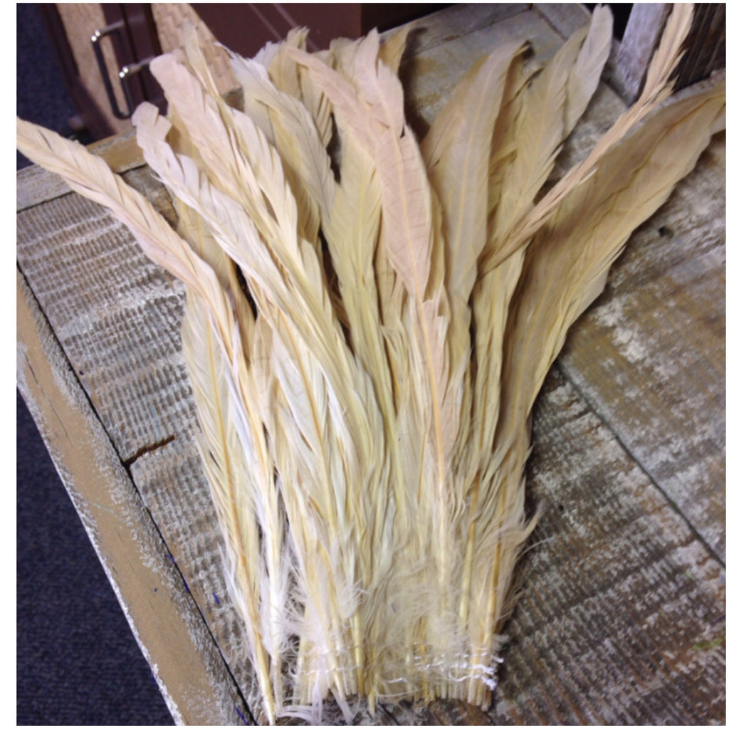 Rooster Tail Feathers 11-14" long Natural Brown – California Hula Center