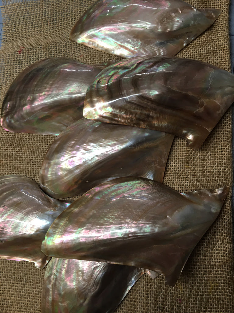 Mother of Pearl Polished Natural Shape Brown Lip Shell – California ...