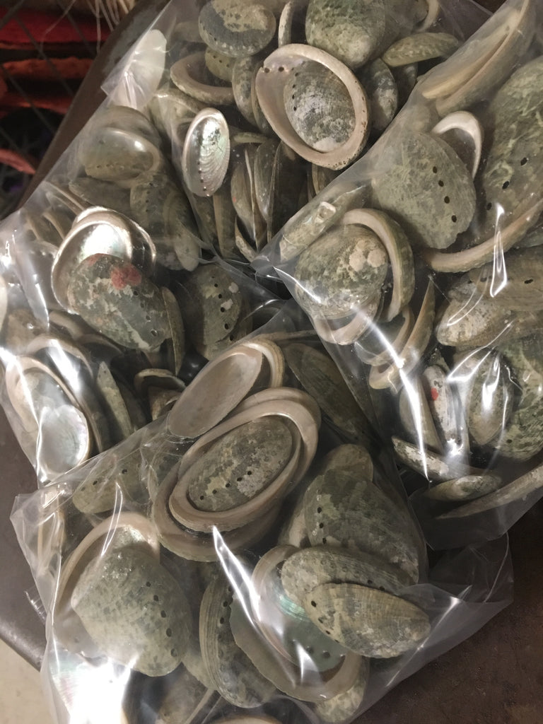 Raw Baby Abalone Shells – California Hula Center